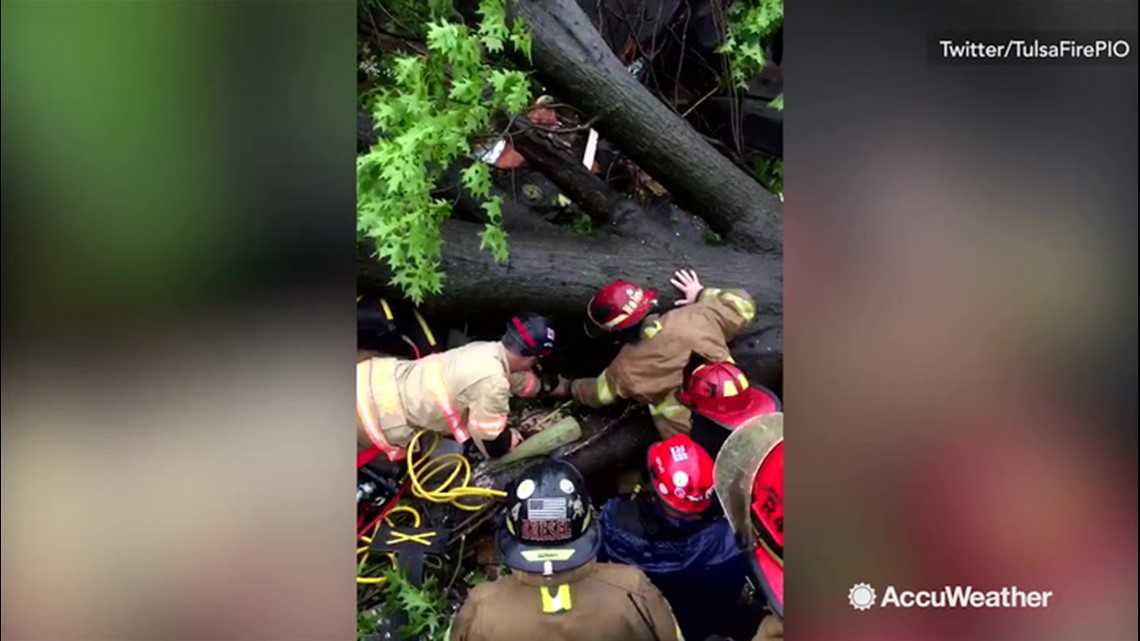 Tree falls on man, fire crew responds | abc10.com