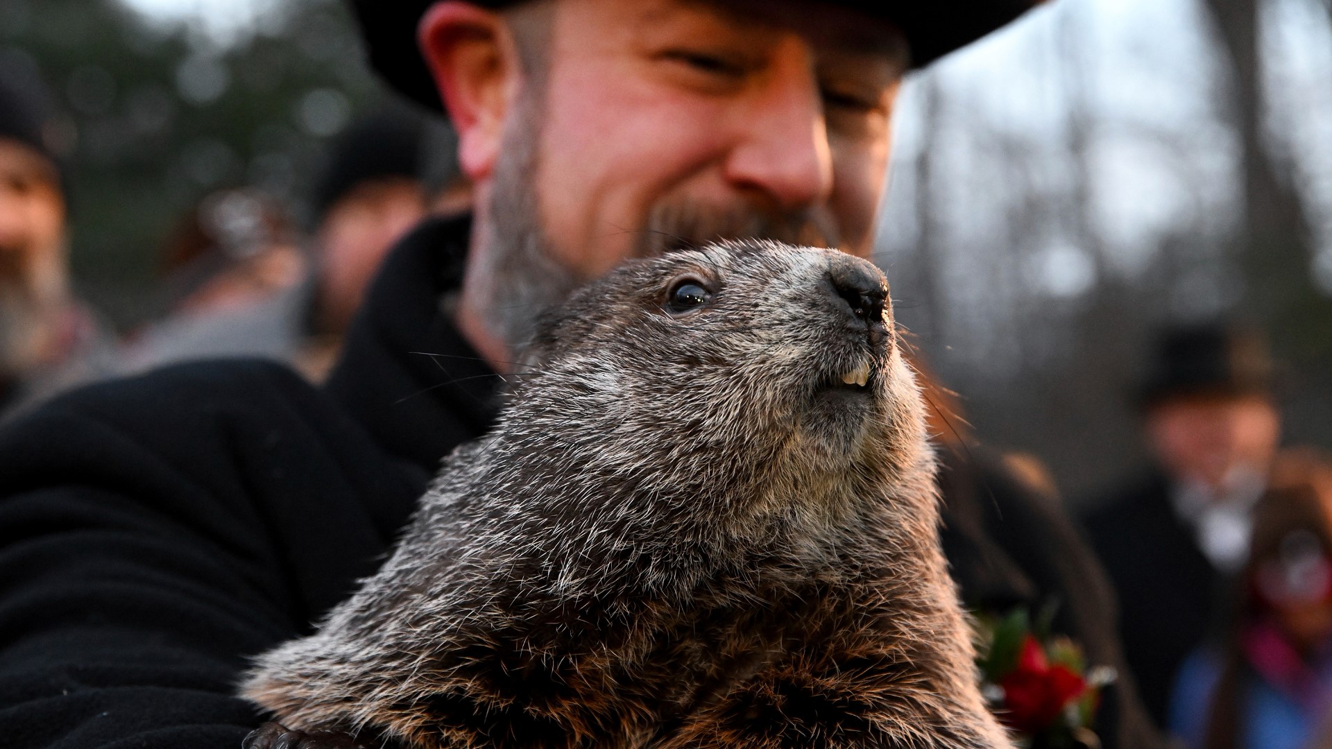 Groundhog Day: How did it start? When is it in 2023? | abc10.com