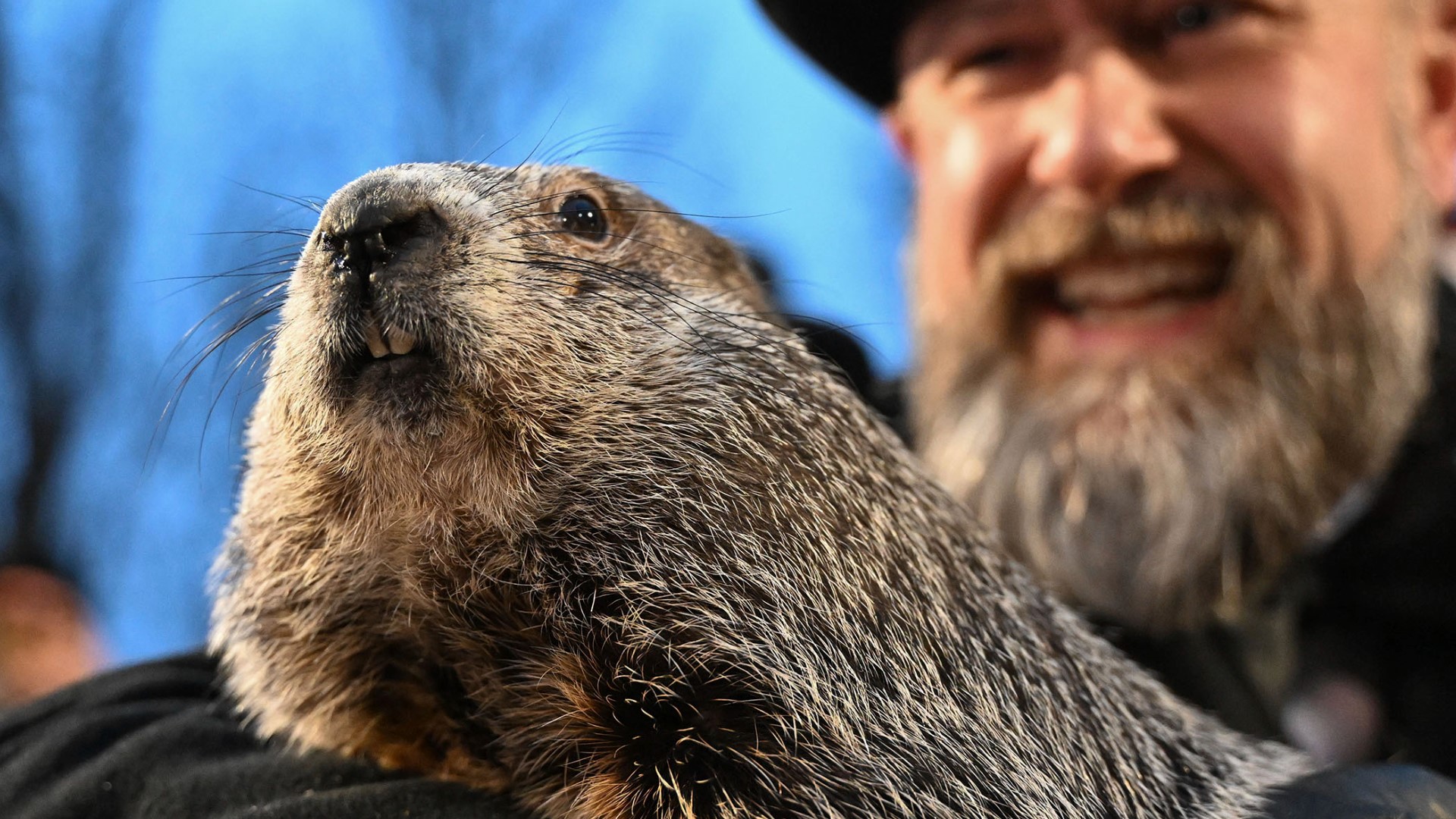 Groundhog Day 2025: Did Punxsutawney Phil see his shadow? | abc10.com