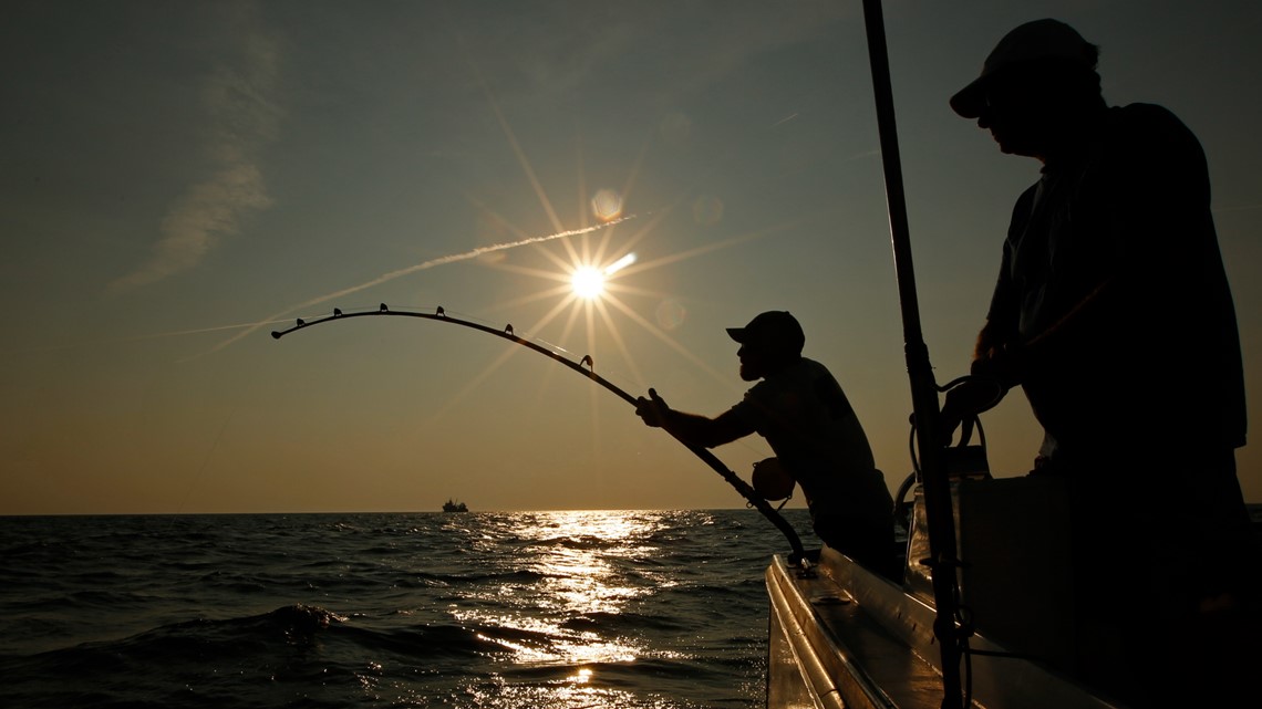 Climate change takes habitat from big fish, the ocean's key predators ...