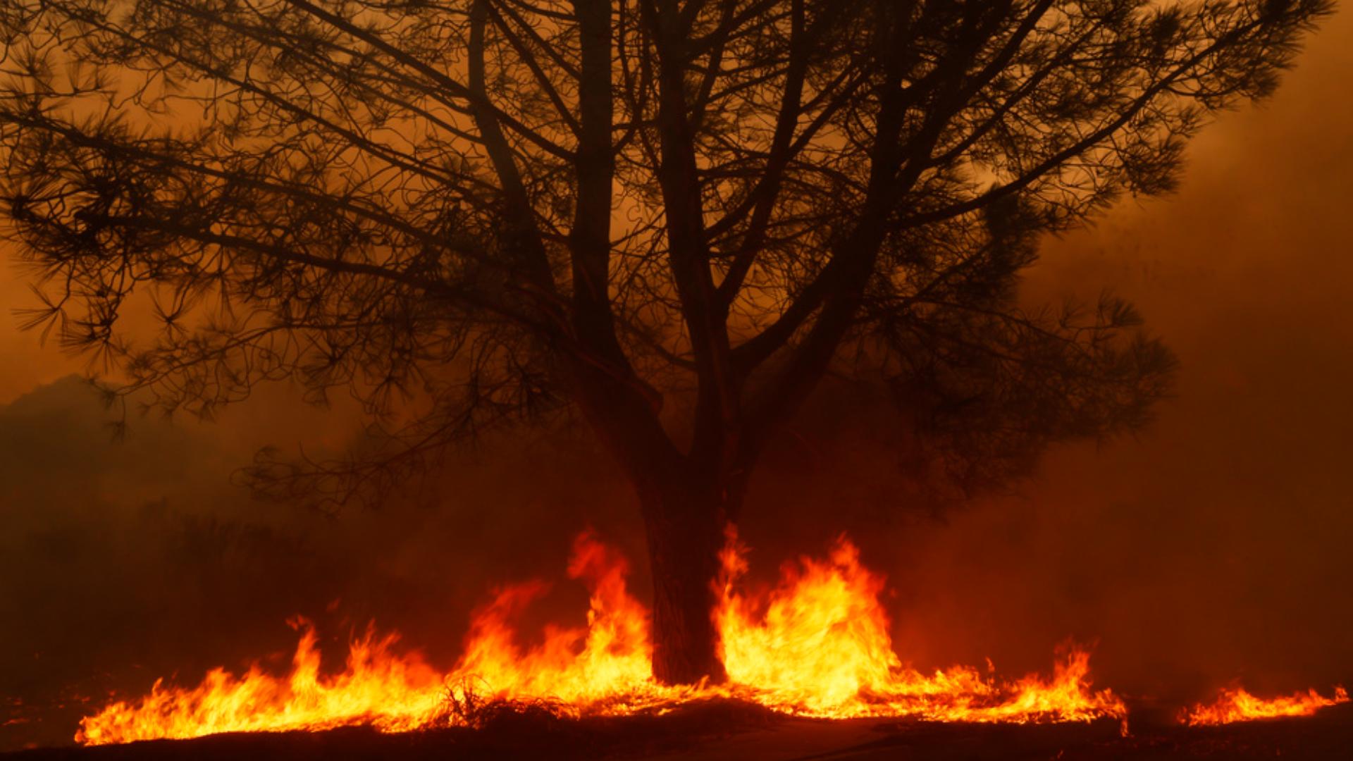 Los Angeles wildfires: Santa Ana winds fuel dangerous fires, residents ...