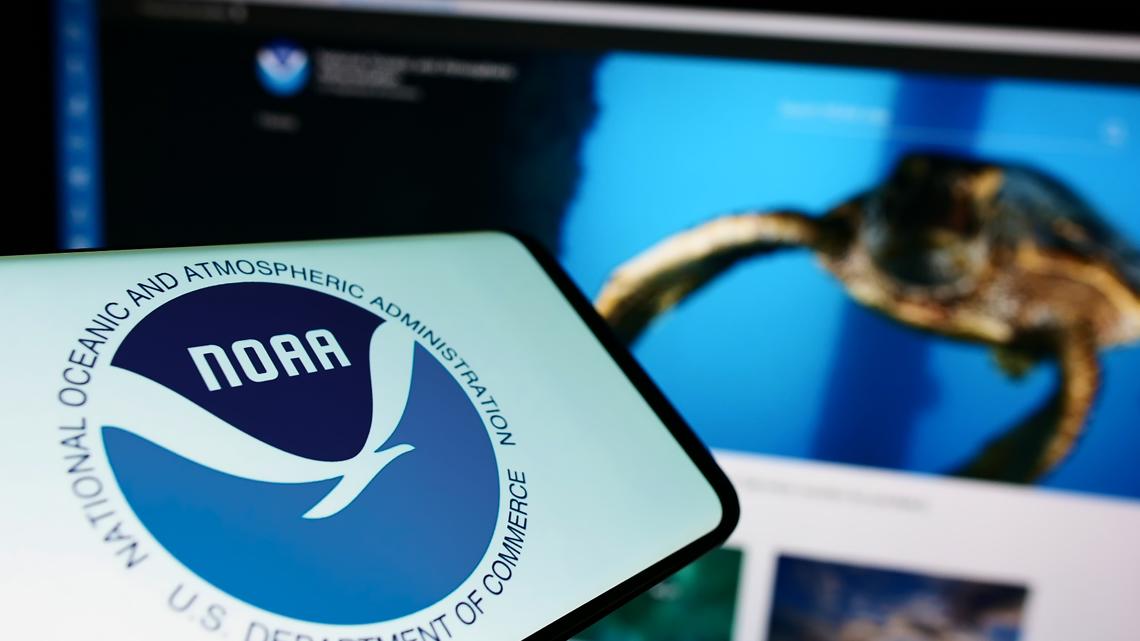 Blake and Anthony Rakela: Father and son charged in Rocklin deadly road ...