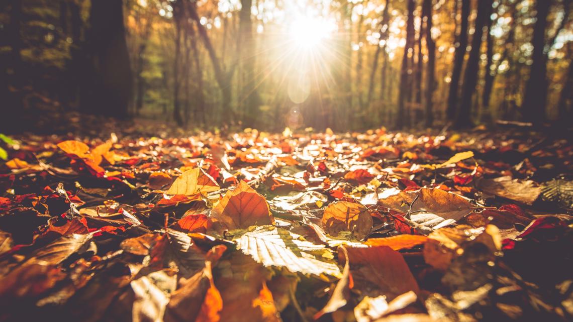 When does fall start in 2025? | abc10.com