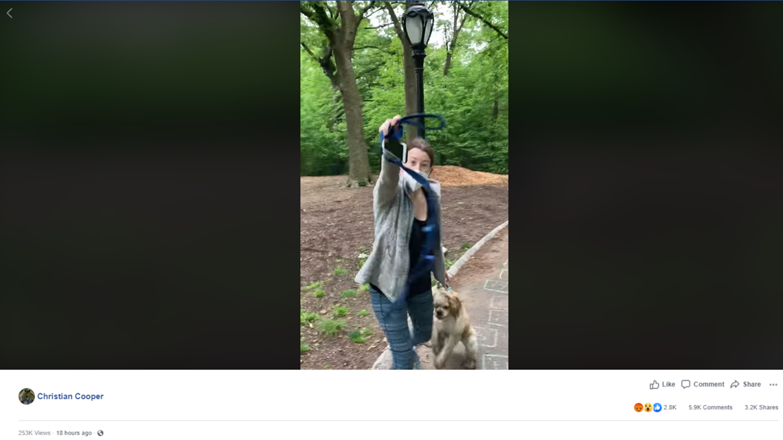 White woman fired after calling cops on black man in Central Park ...