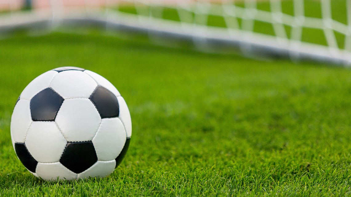 Iron Rose FC: Roseville gets semi-pro women's soccer team | abc10.com