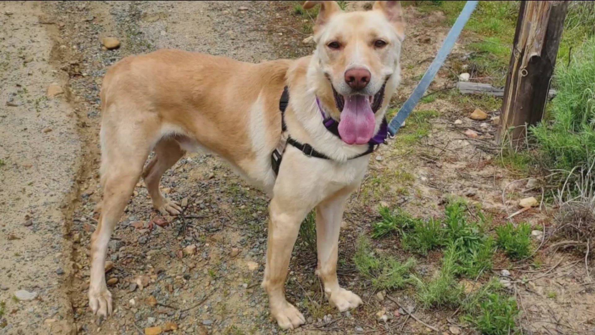 Your California Life | abc10.com