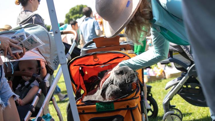 Coastal Fire in Orange County: evacuation zones, maps,updates | abc10.com