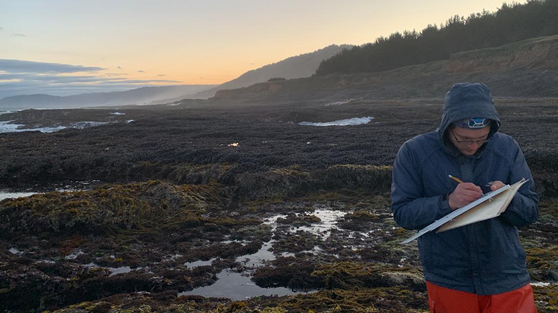 Coastal ecosystems less resilient to climate change stressors | abc10.com