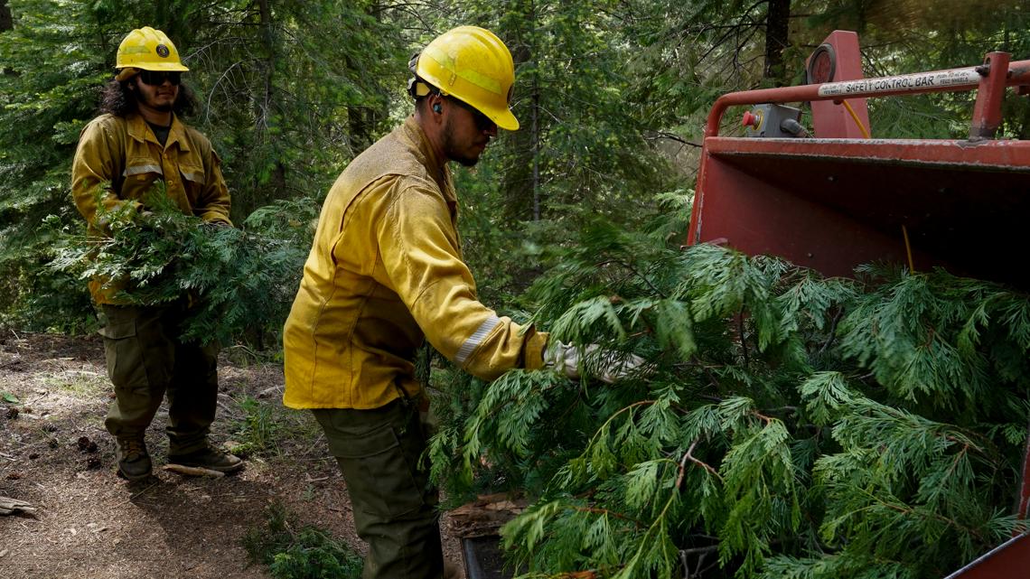 Trump plans to merge wildland firefighting efforts into one agency ...