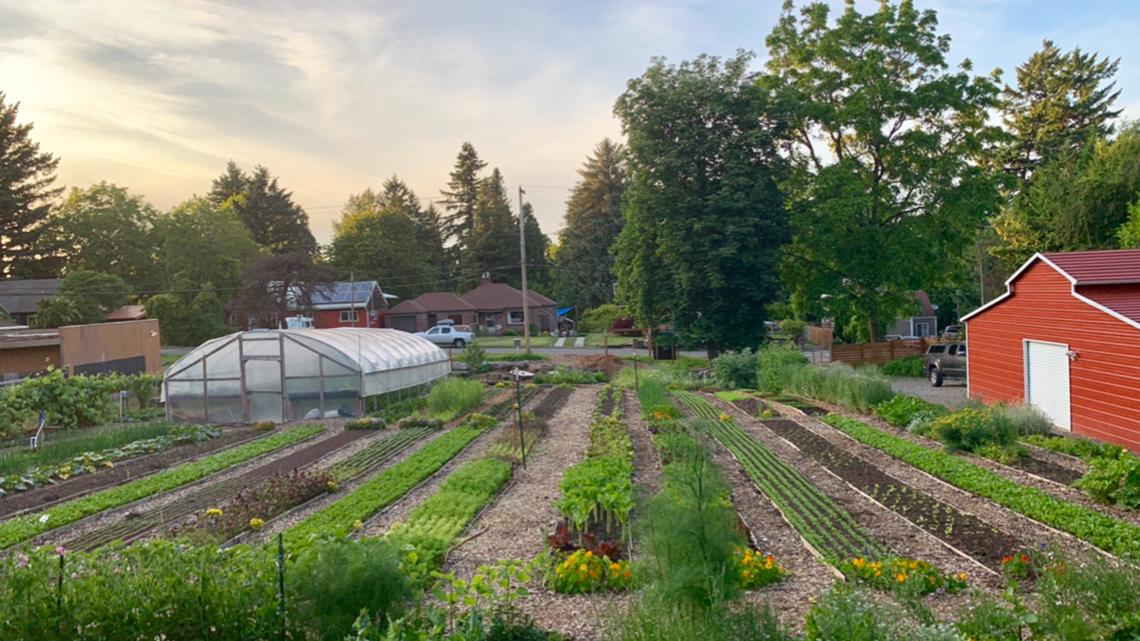 Portland farm offers support for those who've lost loved ones | abc10.com