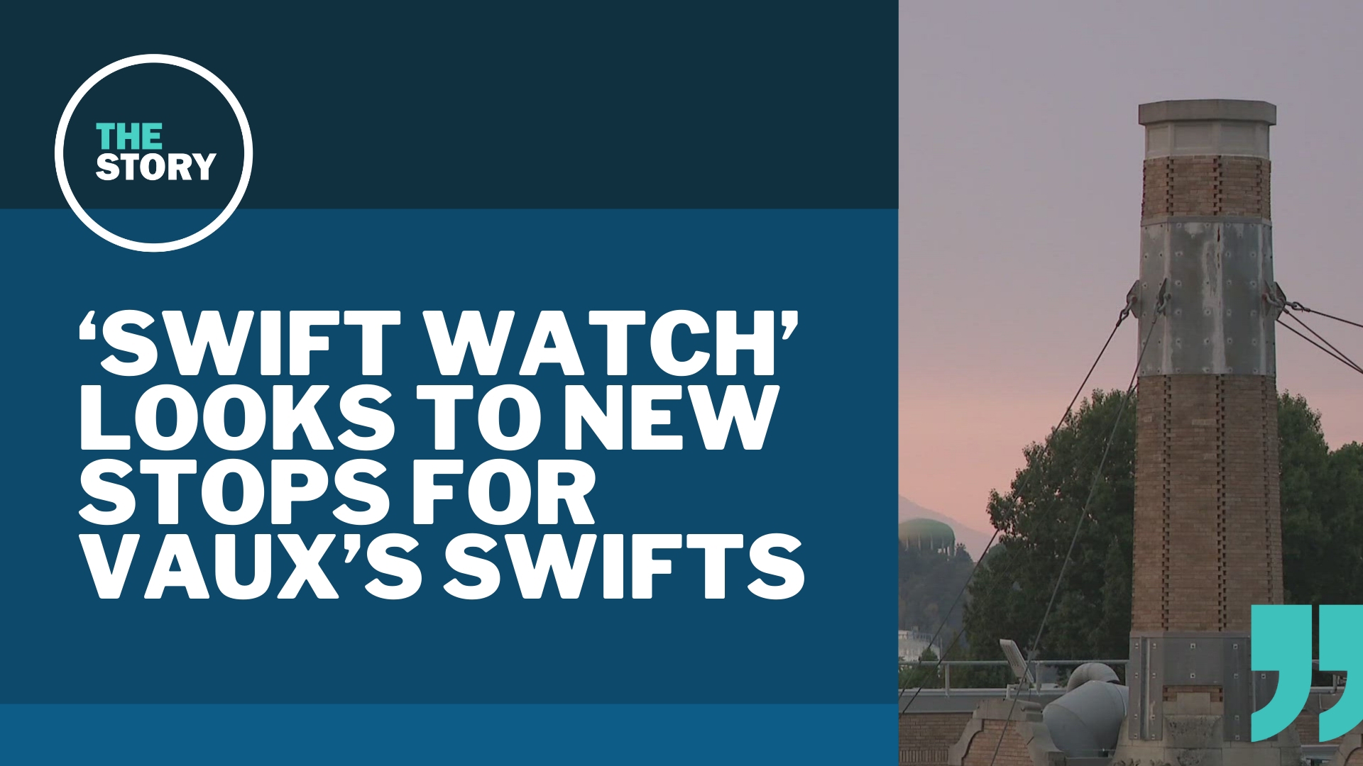 'Swift Watch' becomes a Portland-wide activity in 2025 return | abc10.com