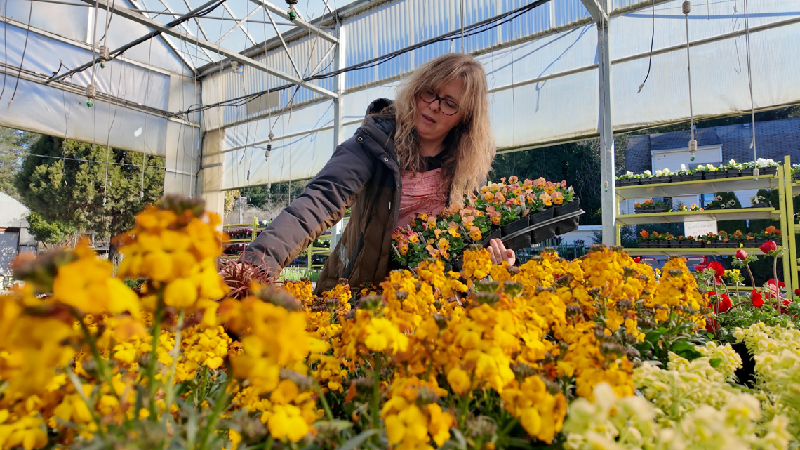 From garden coaching to YouTube star Kate David grows success | abc10.com