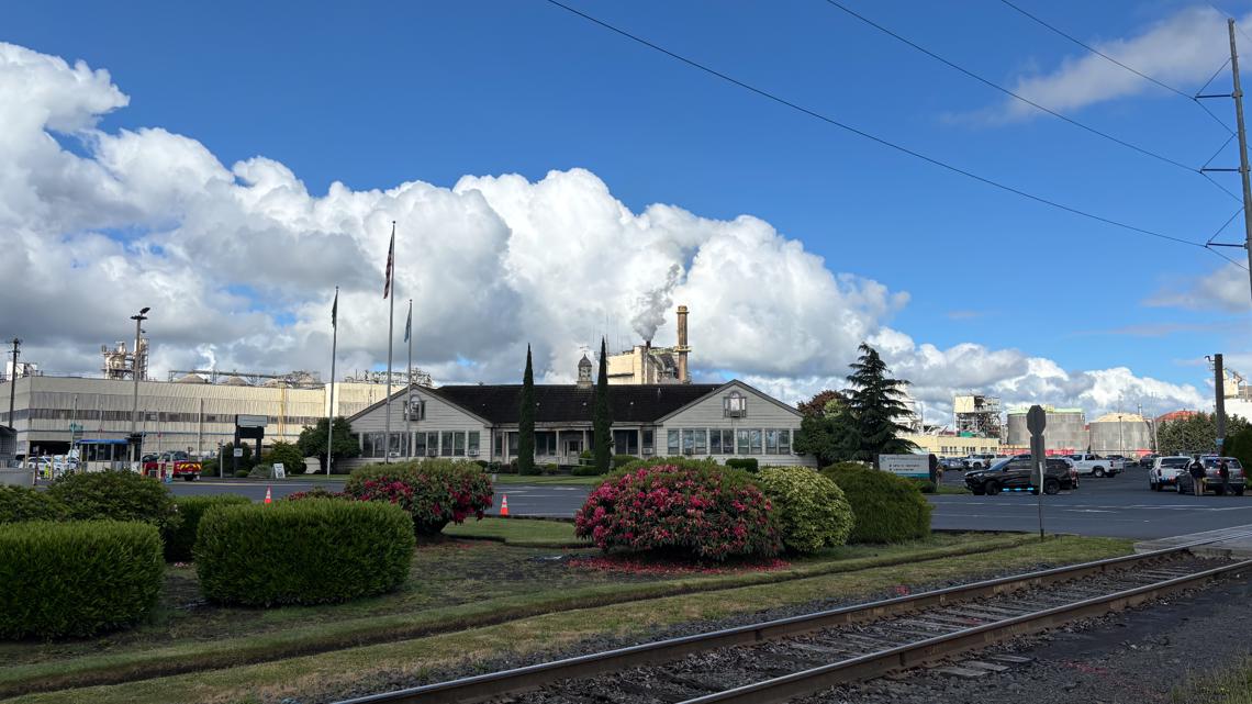 Fatalities confirmed after major chemical explosion at Longview Nippon ...