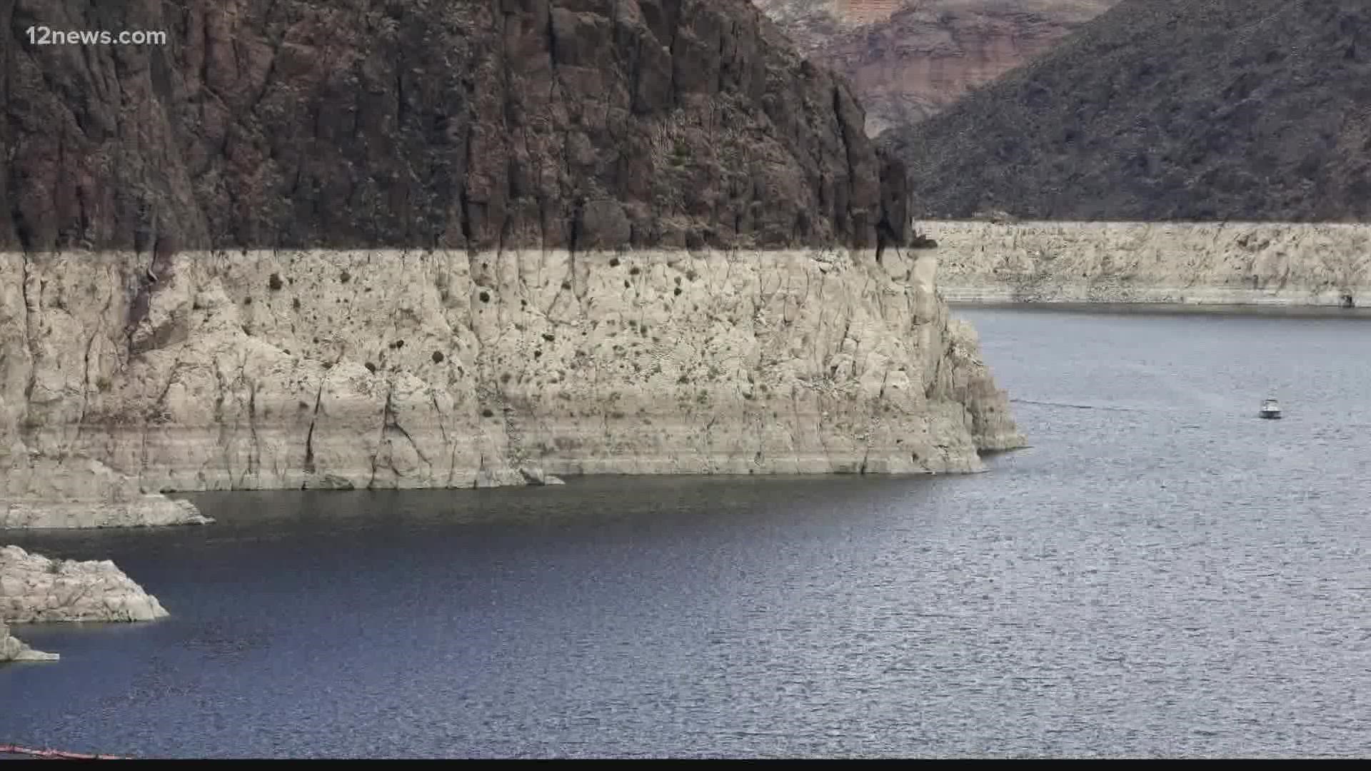 Colorado River water supply cutoff to hurt Arizona farmers | abc10.com