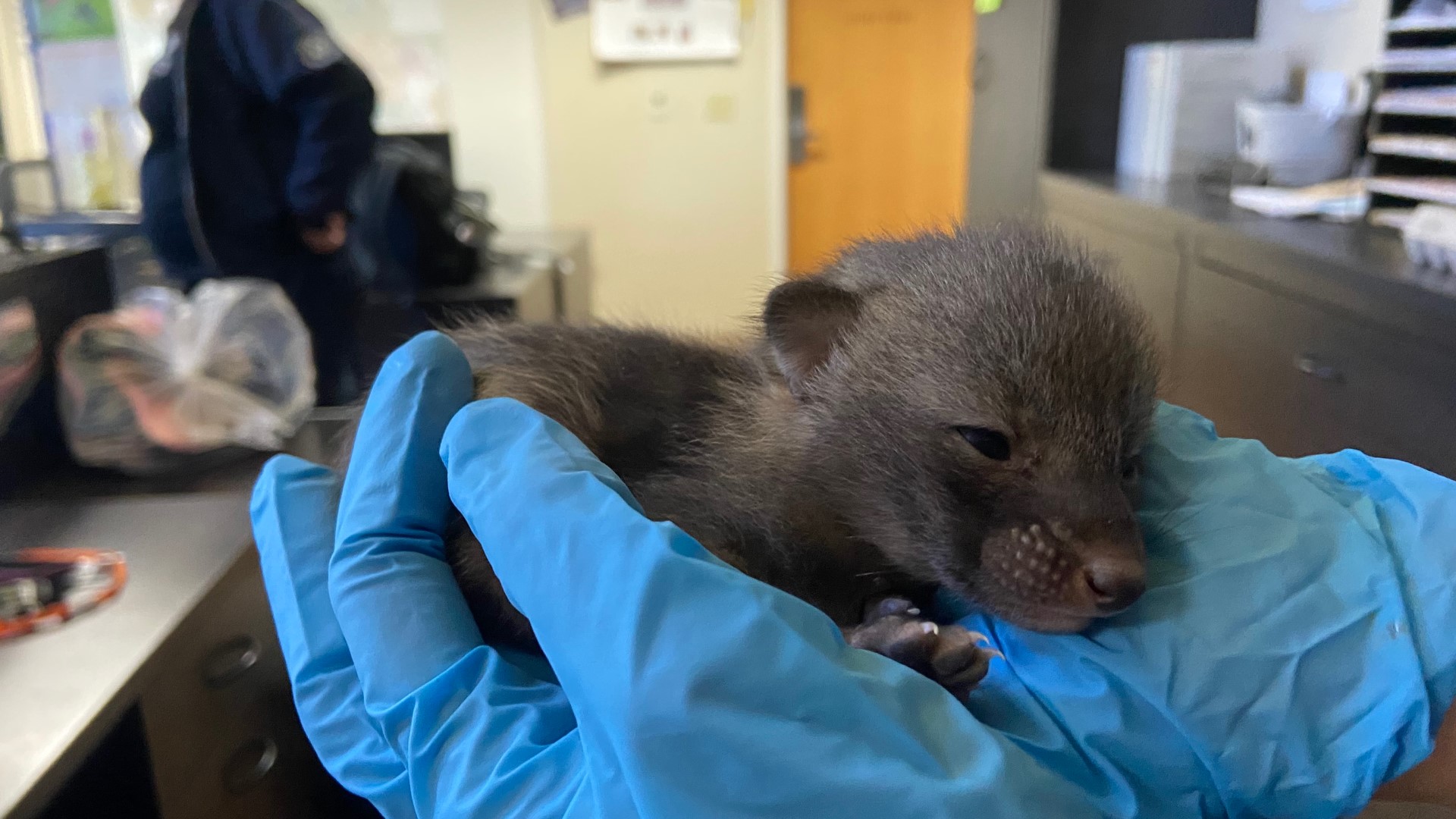 Your California Life | abc10.com