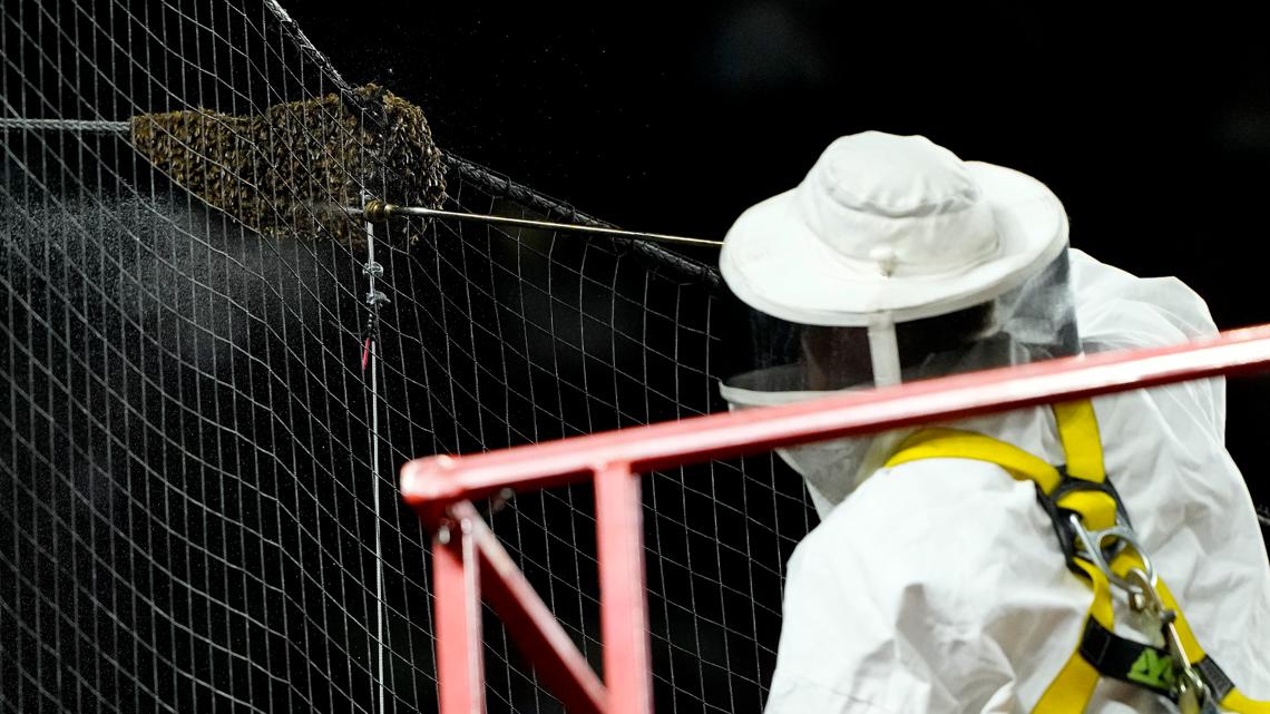 Bee delay: Diamondbacks game pushed by due to colony of bees | abc10.com