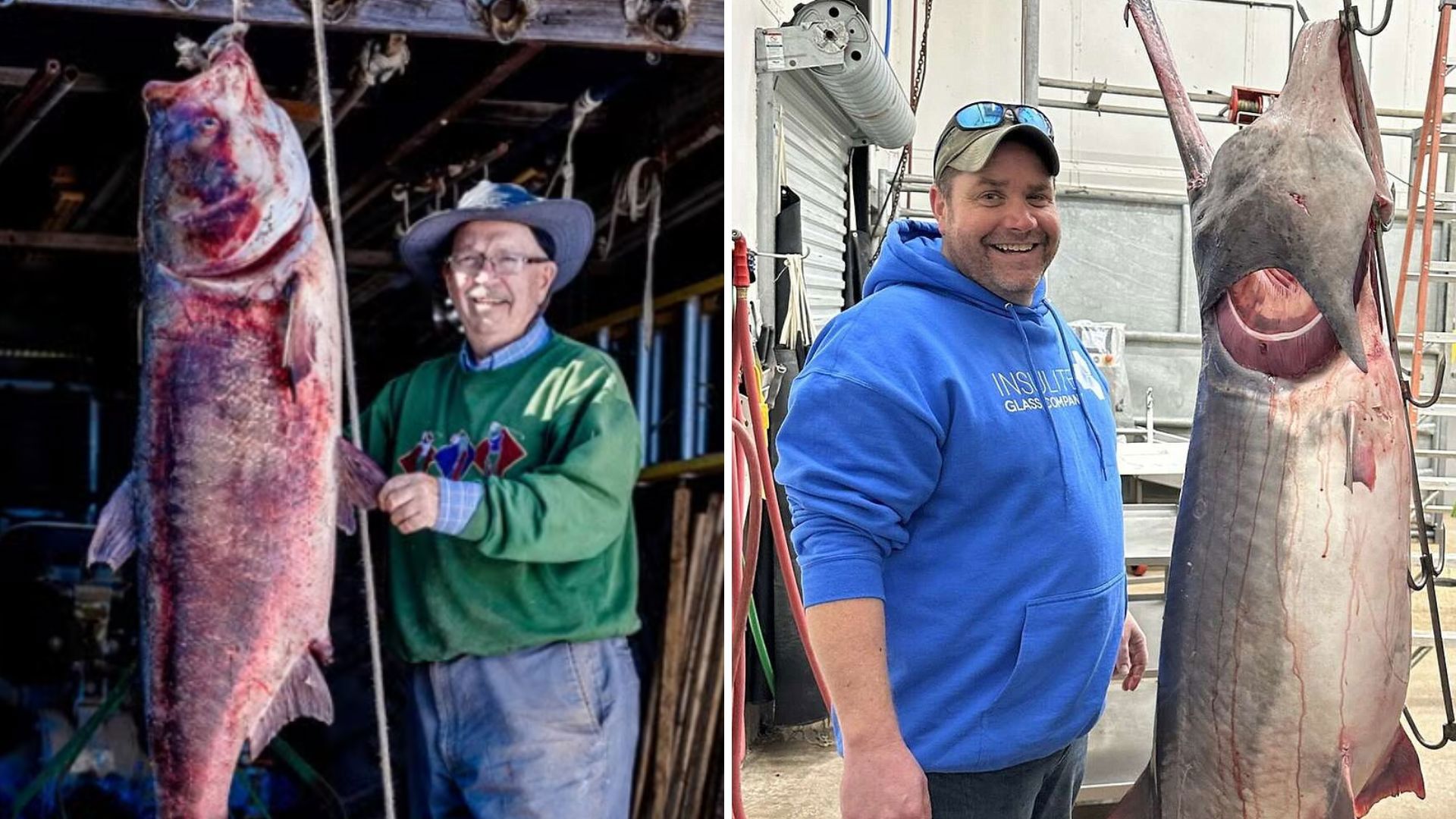 Two fishing world records broken in Missouri in 2024 | abc10.com