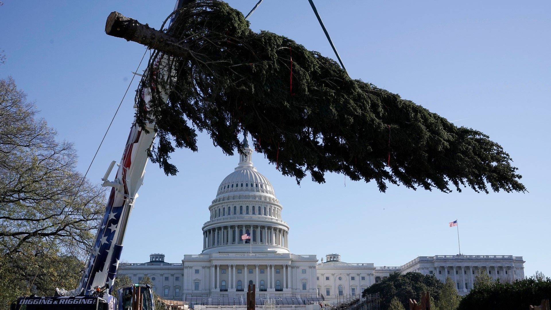 U.S. Capitol Christmas Tree from Colorado to be lit Dec. 2, 2020 ...