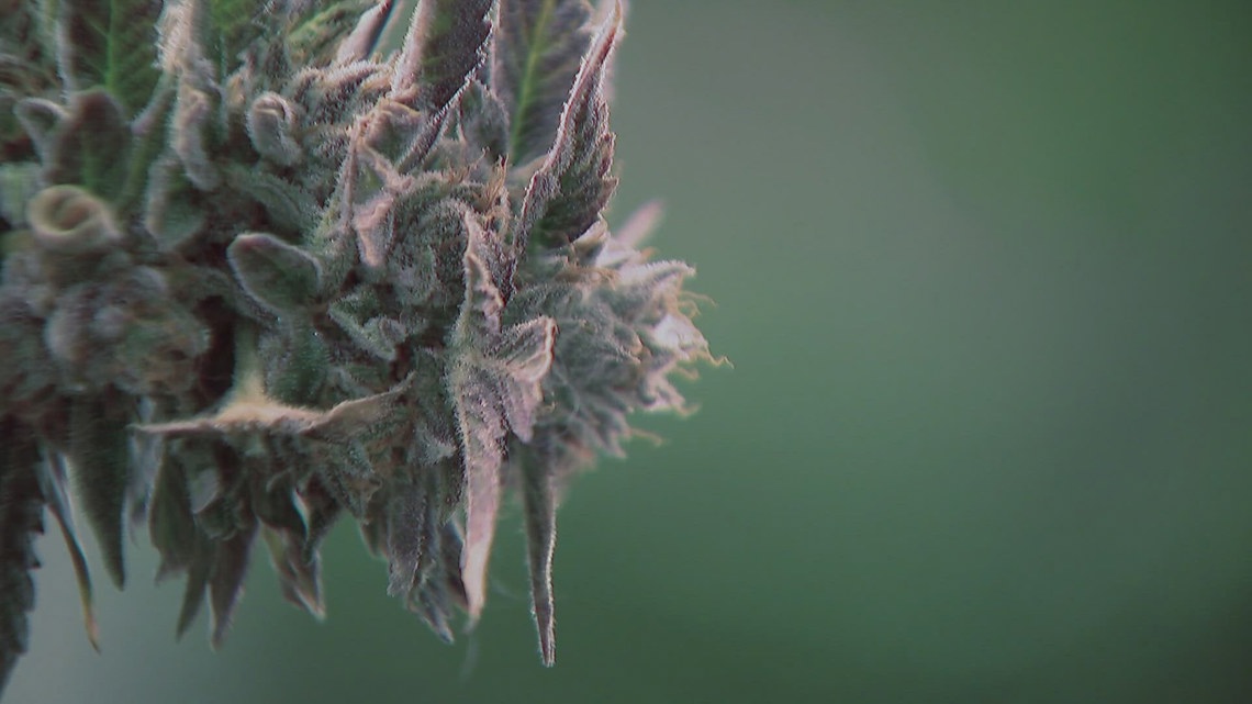 Explaining California's new parking rules near crosswalks -the daylighting law | abc10.com