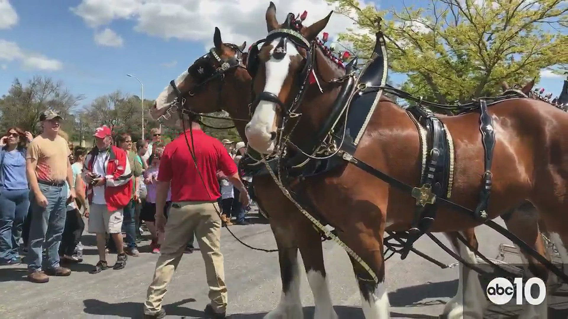 Texas Renaissance Festival cofounder George Coulam, 'King George ...