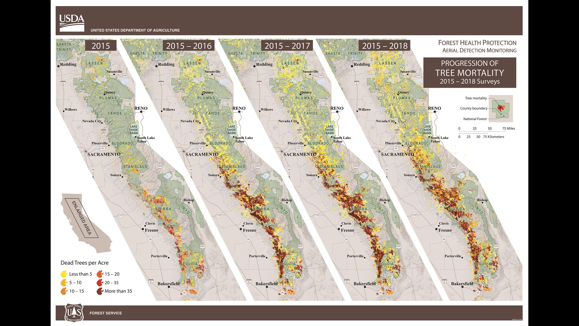 California drought is over, but trees are dying | abc10.com