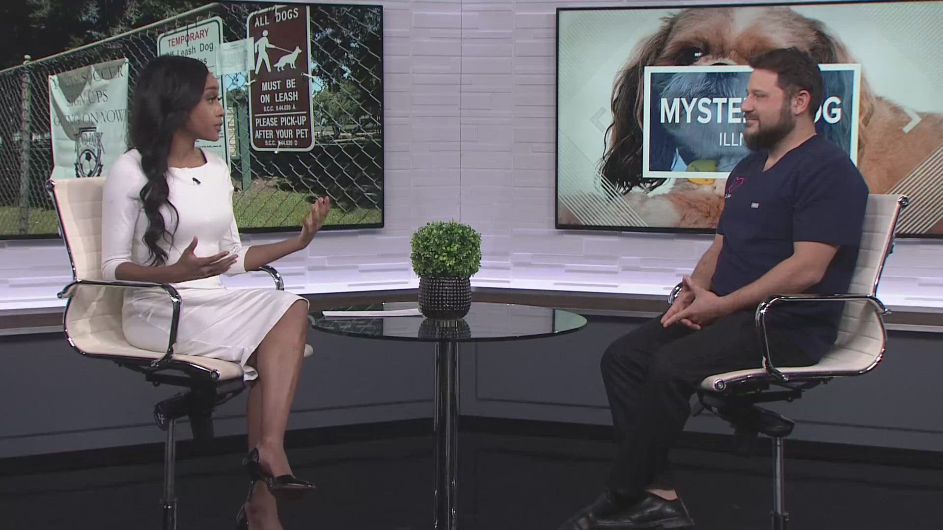 What to know about mysterious dog illness | abc10.com