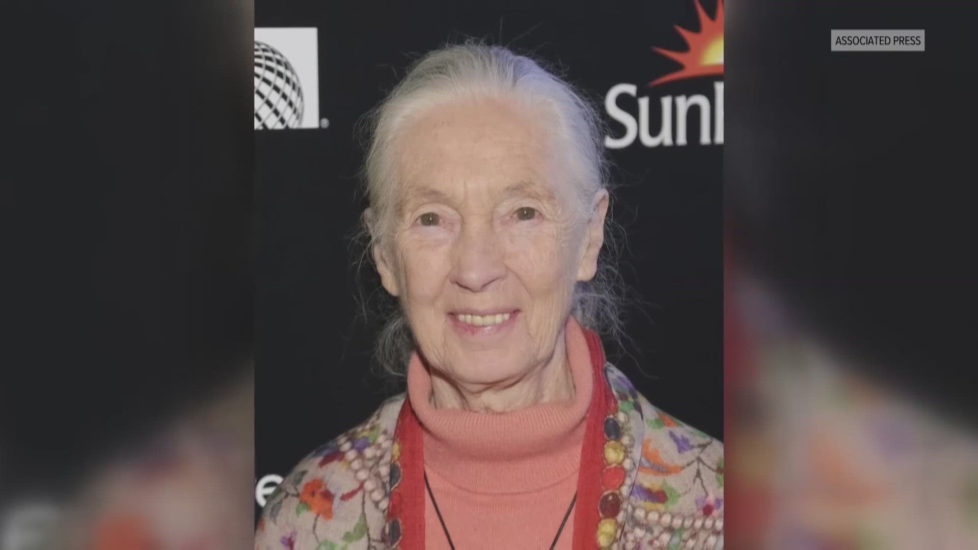 Jane Goodall dies at 91 years old | abc10.com