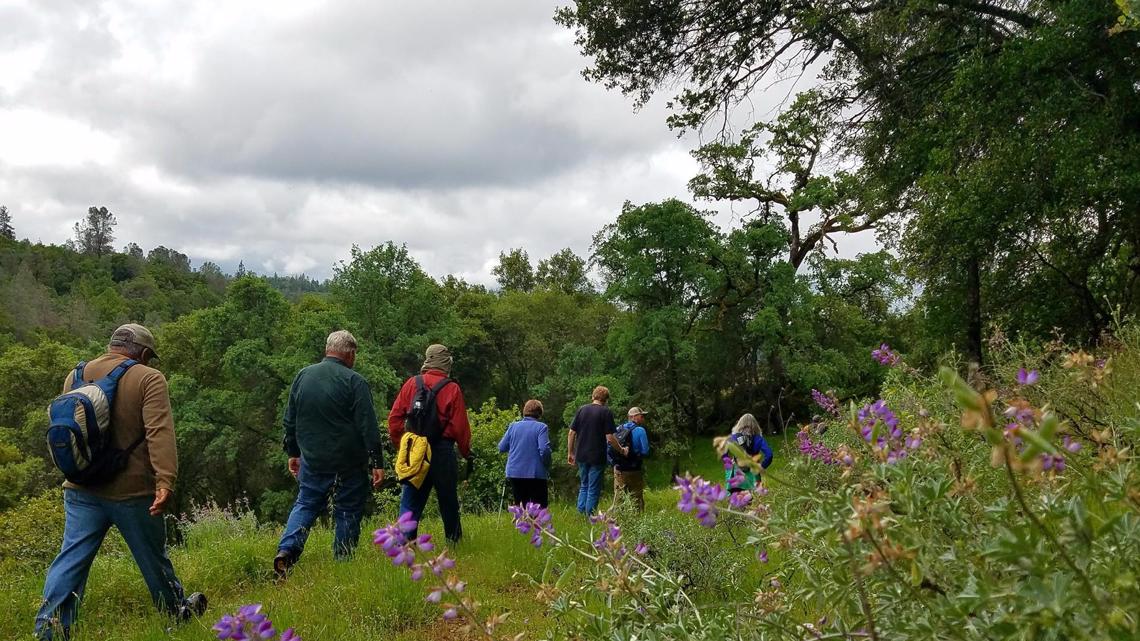 Hidden Falls Regional Park expansion approved by Placer County | abc10.com