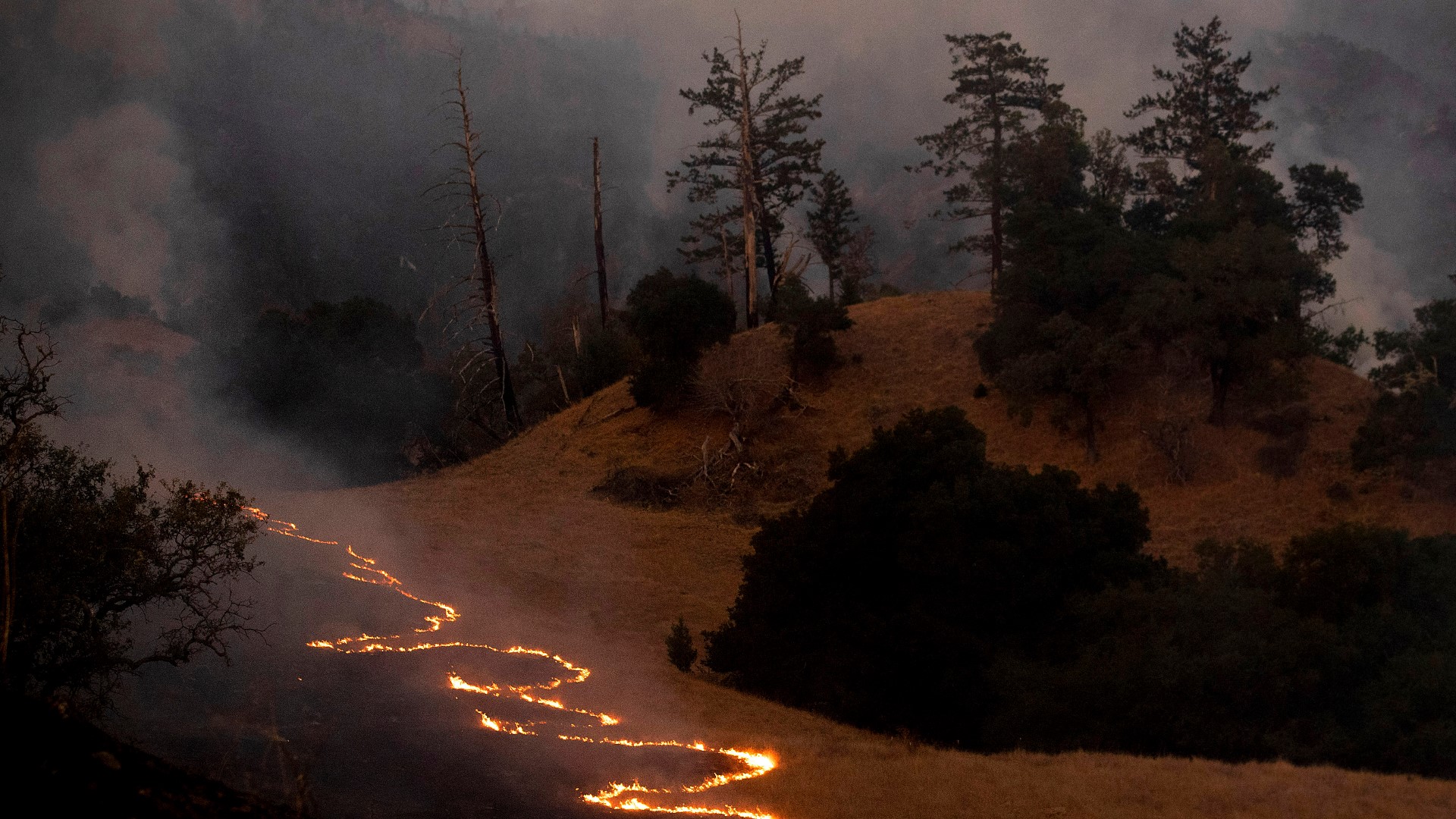 See the best ways to donate to California wildfire recovery | abc10.com