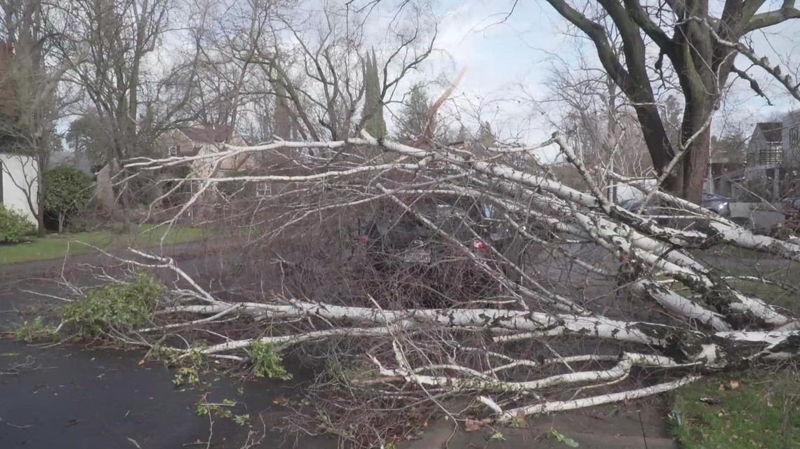 Strong winds topple trees in downtown and midtown Sacramento | abc10.com