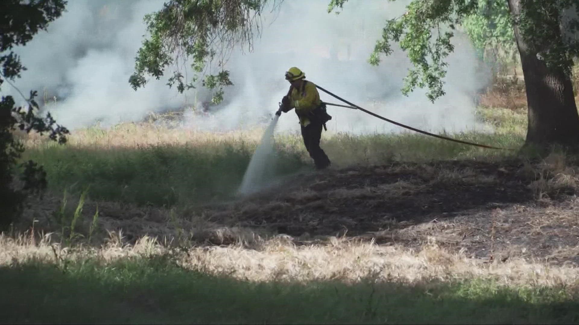 Grass fire broke out near West Sacramento as temperatures warm up in ...