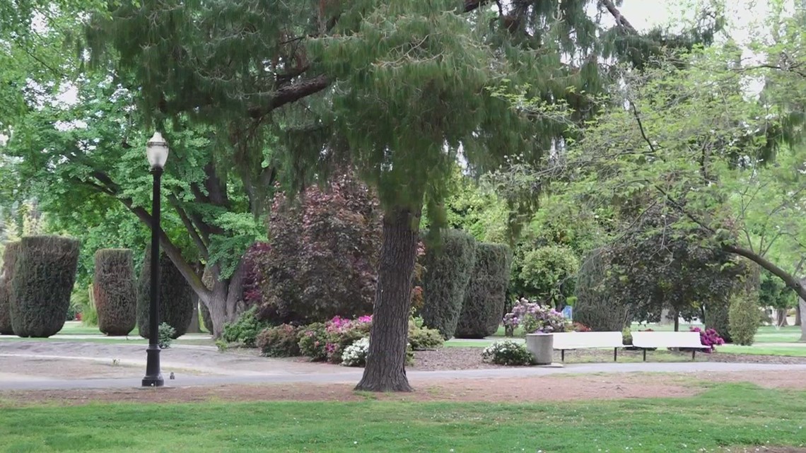 Sacramento communities could see more trees in neighborhood | abc10.com