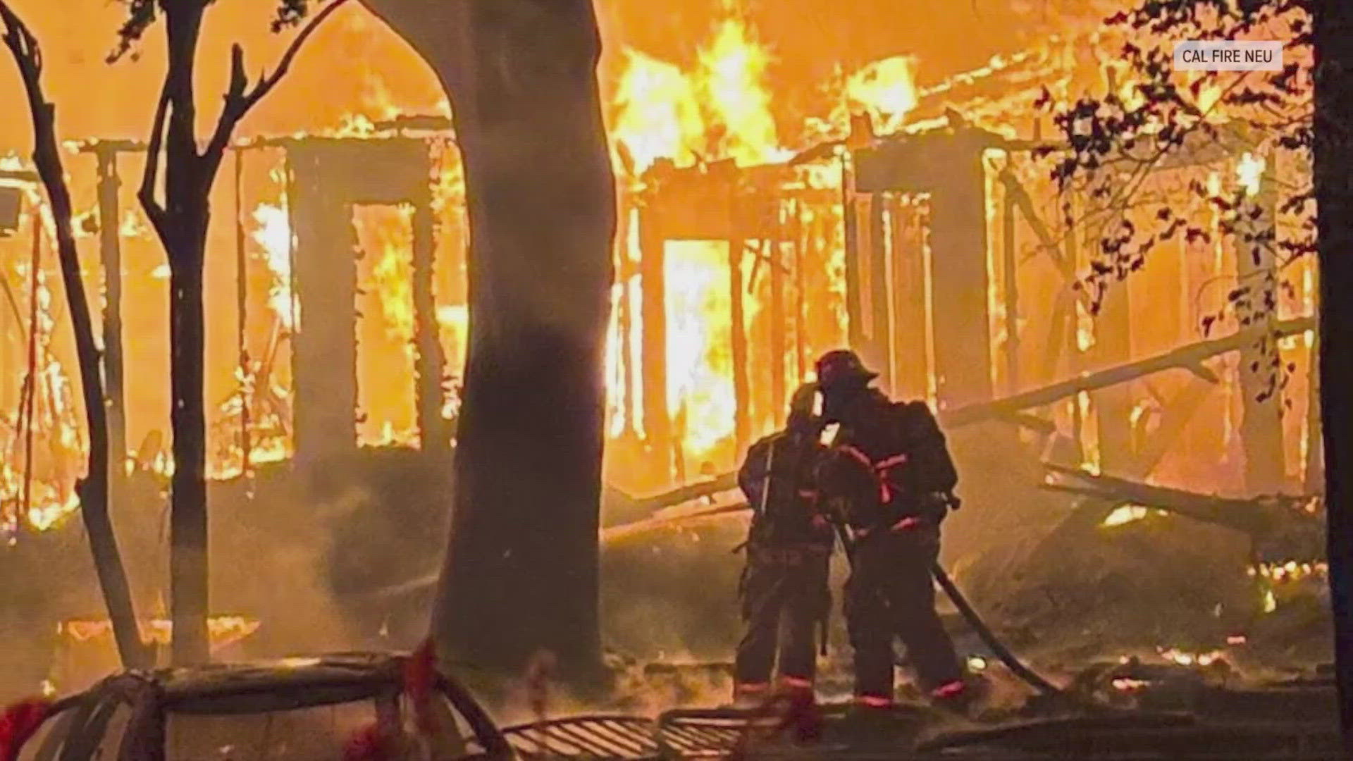 Compassion Planet home lost in fire; Rocklin nonprofit now focused on ...