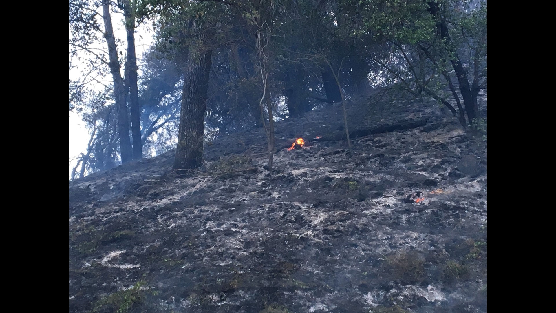 PHOTOS: Quail Fire | abc10.com