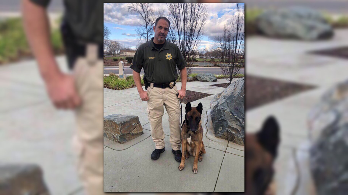 K9 Eros back up and running after January shooting | abc10.com