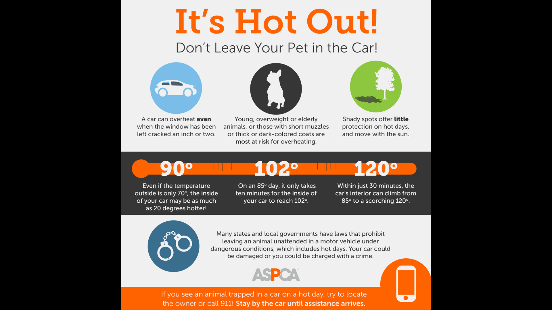 Need to Know: Hot car safety | abc10.com
