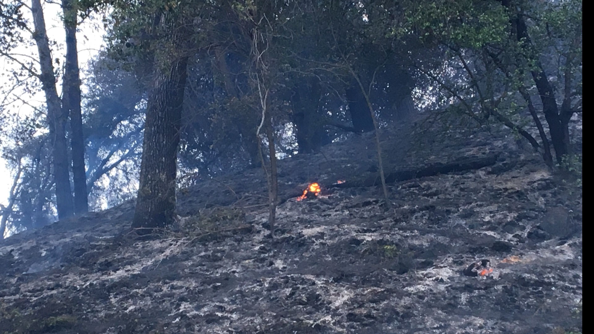 Maps and updates for Quail Fire near Winters and Vacaville | abc10.com