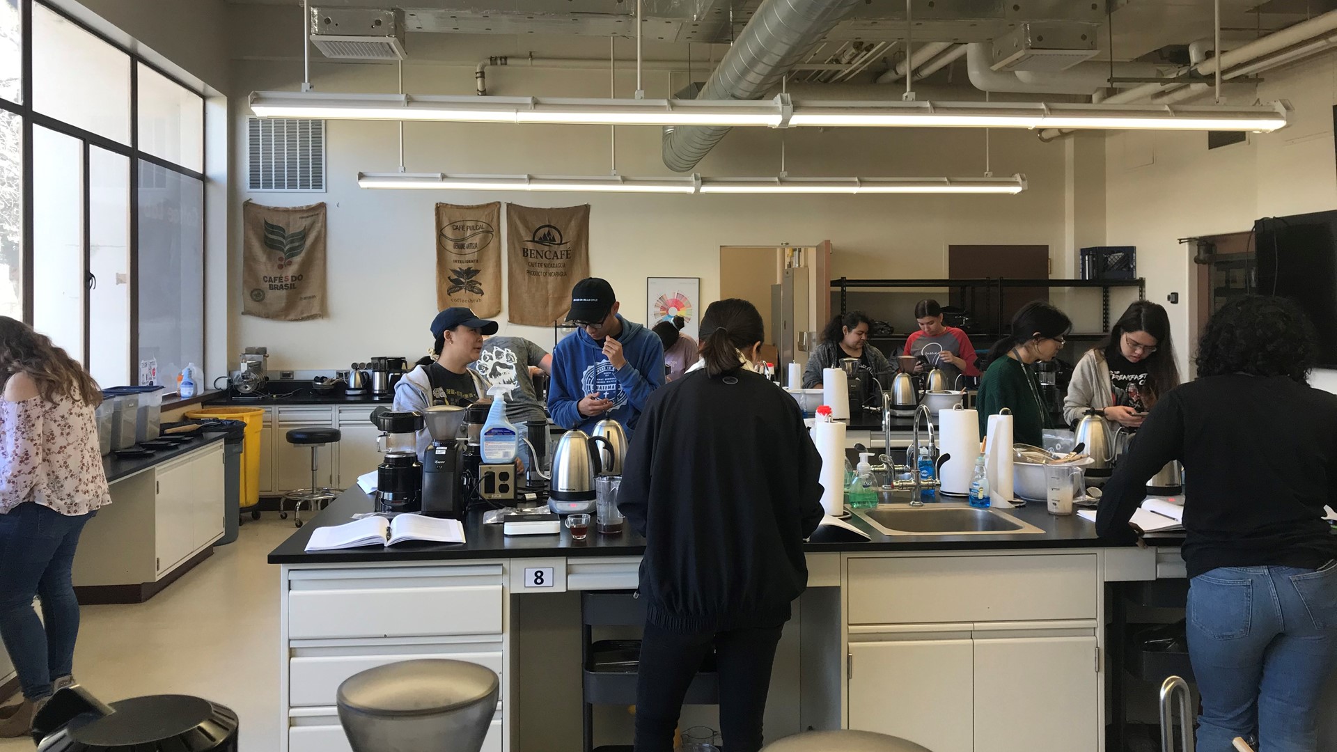 UC Davis Coffee Center pioneers coffee research, innovation | abc10.com