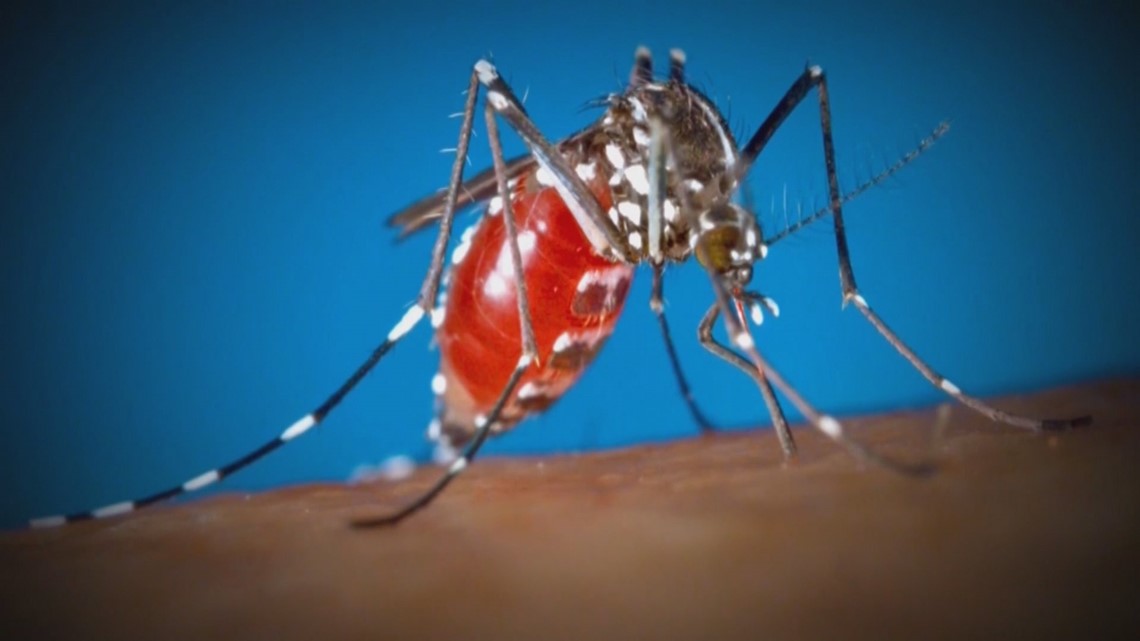 CDC: California leads the nation in mosquito-borne disease | abc10.com