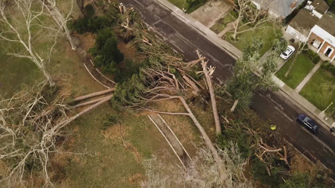 Trees fall in Sacramento, continue protecting city from severe weather ...