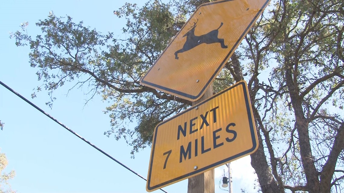 Roadkill is costing Californians millions | abc10.com