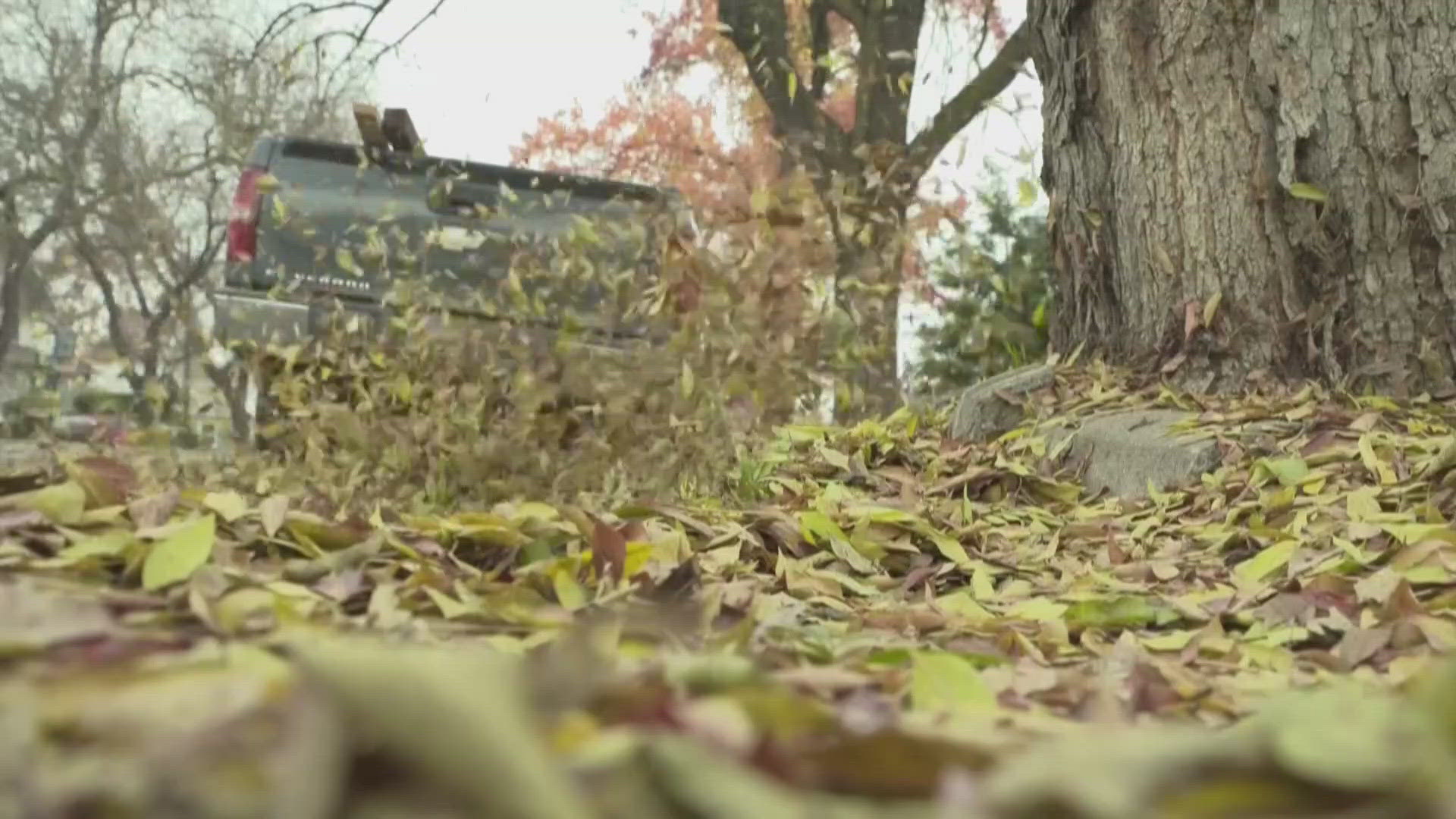Prince William brings his son to the same homeless shelter he first ...