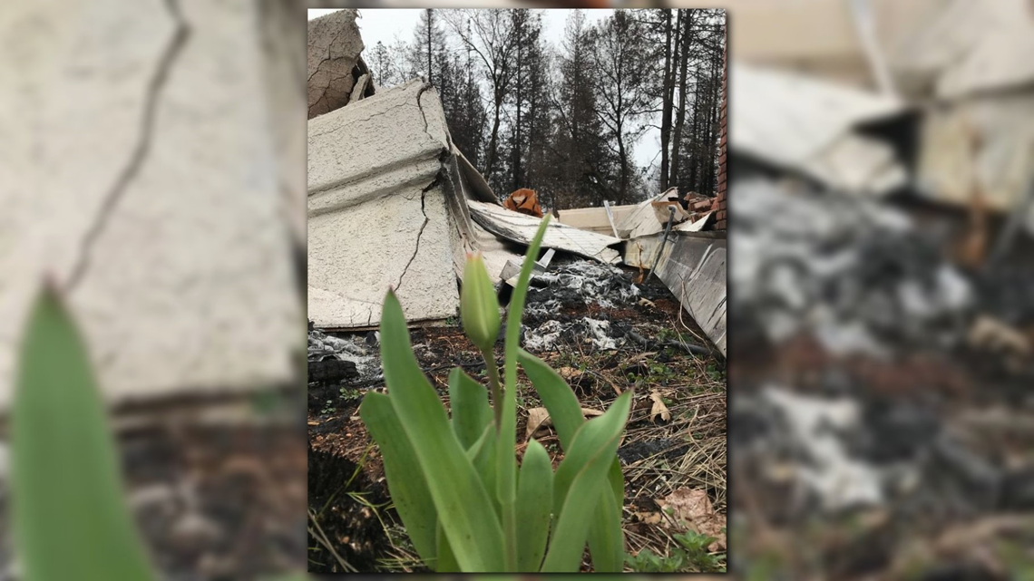 Paradise city officials issue 1st rebuild permit since town destroyed ...