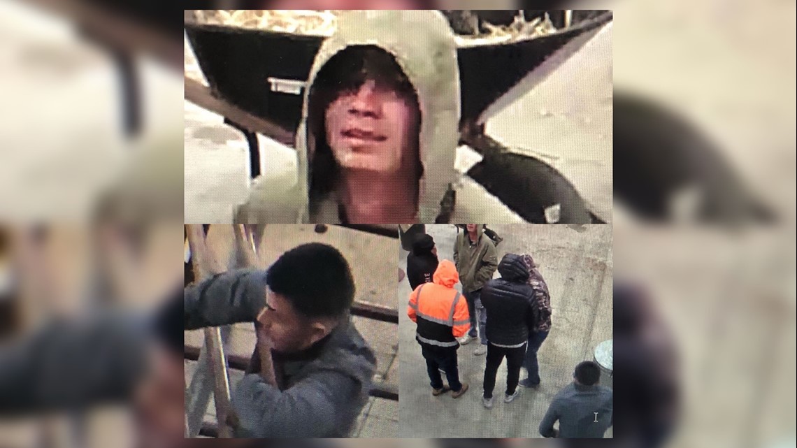 Surveillance camera captures 'goatnapping' in Ceres | abc10.com