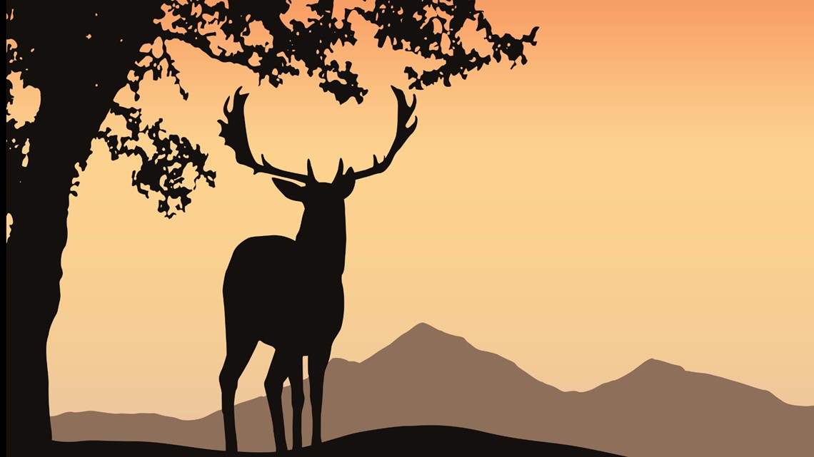 How the city of Elk Grove got its name in California | abc10.com