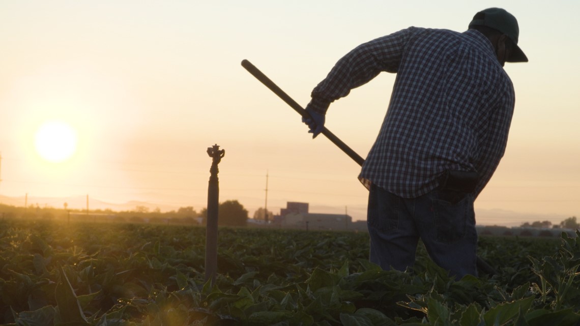 USDA allocates $18 million to strengthen CA's pest prevention | abc10.com