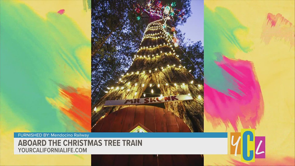 All Aboard the Christmas Tree Train! | abc10.com