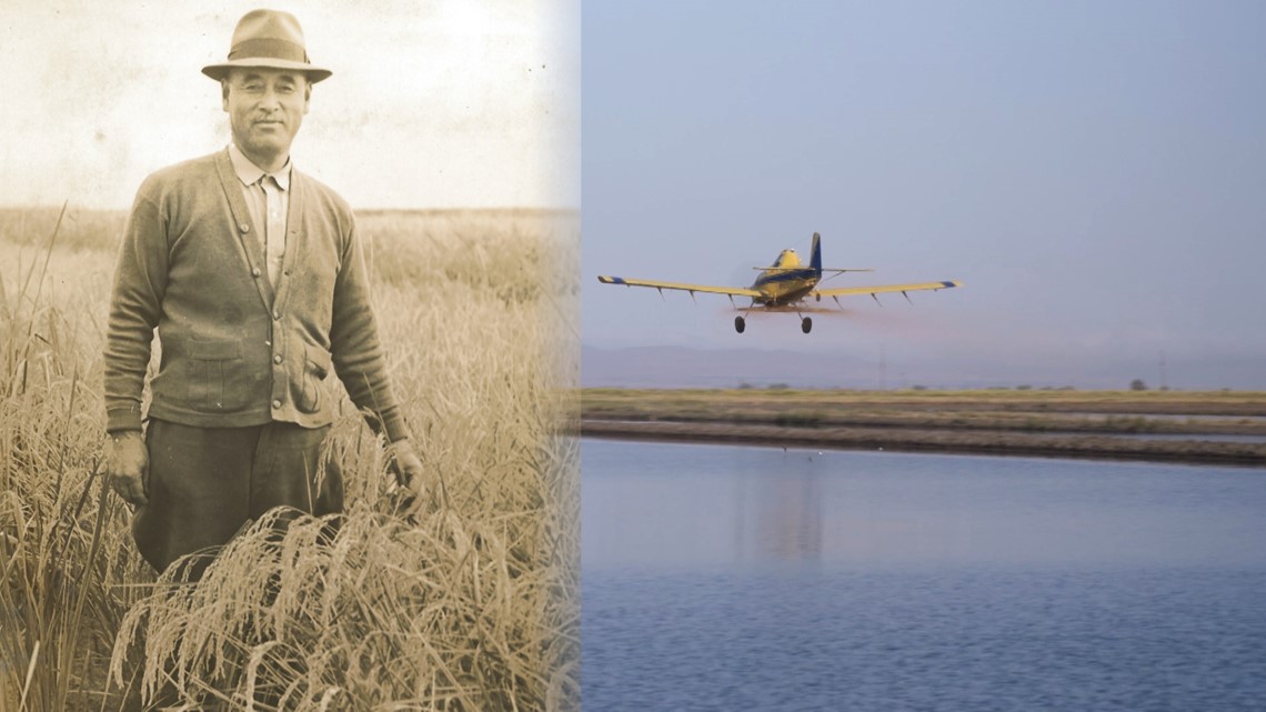 The history of California rice farming at Koda Farms | abc10.com