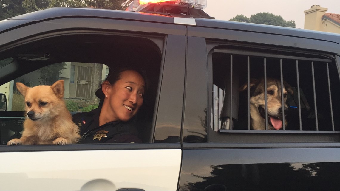 VIDEO: Vacaville police officers rush into shelter to save animals ...