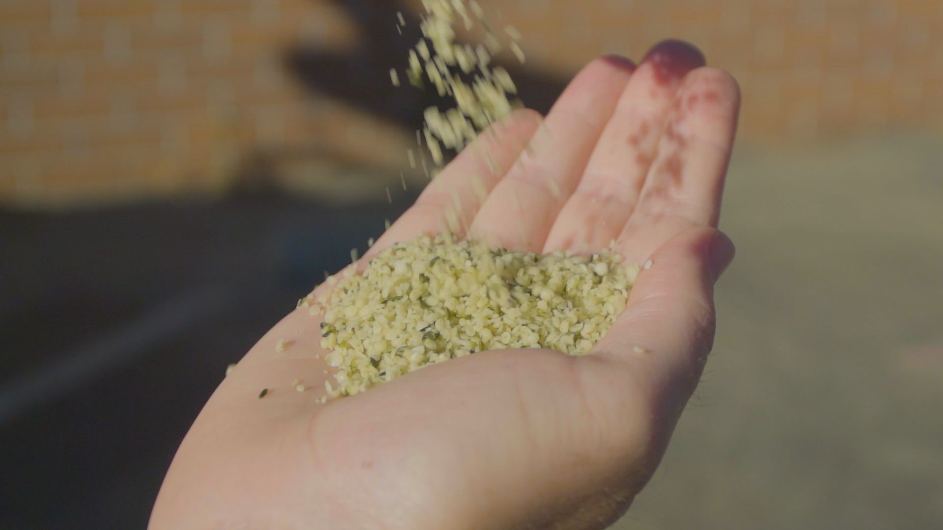 Hops and hemp: Things to know about cannabis beer | abc10.com